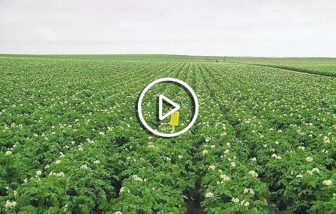 Home | Alborg Export